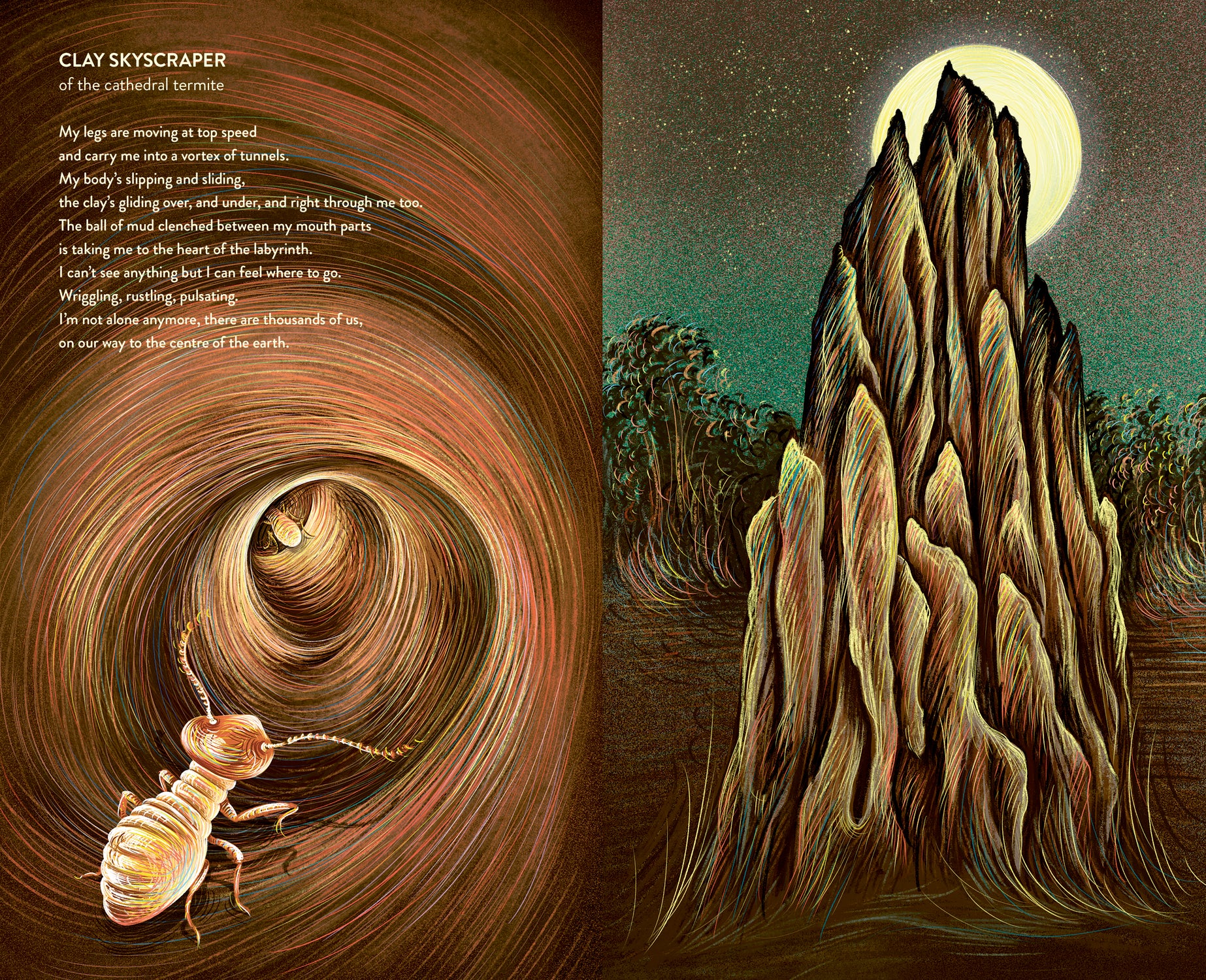 Home – QAGOMA Store