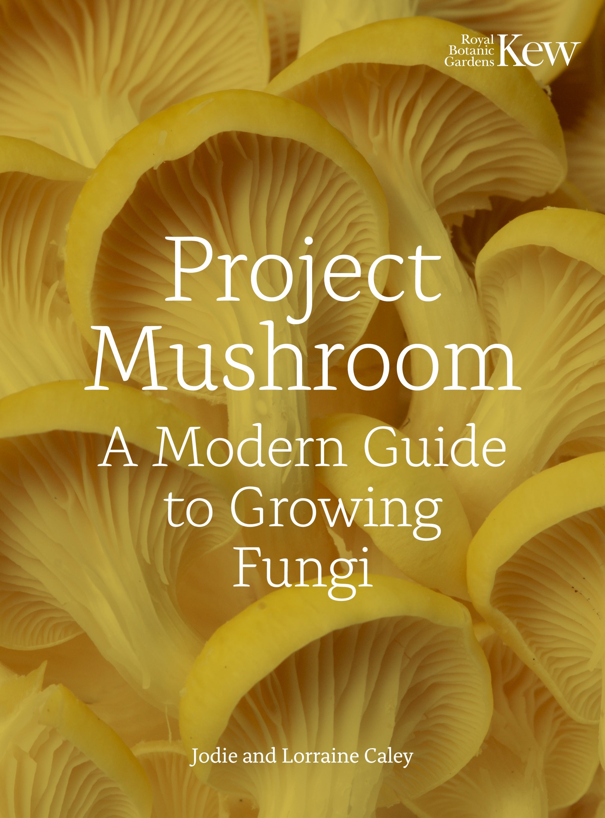 Project Mushroom – QAGOMA Store