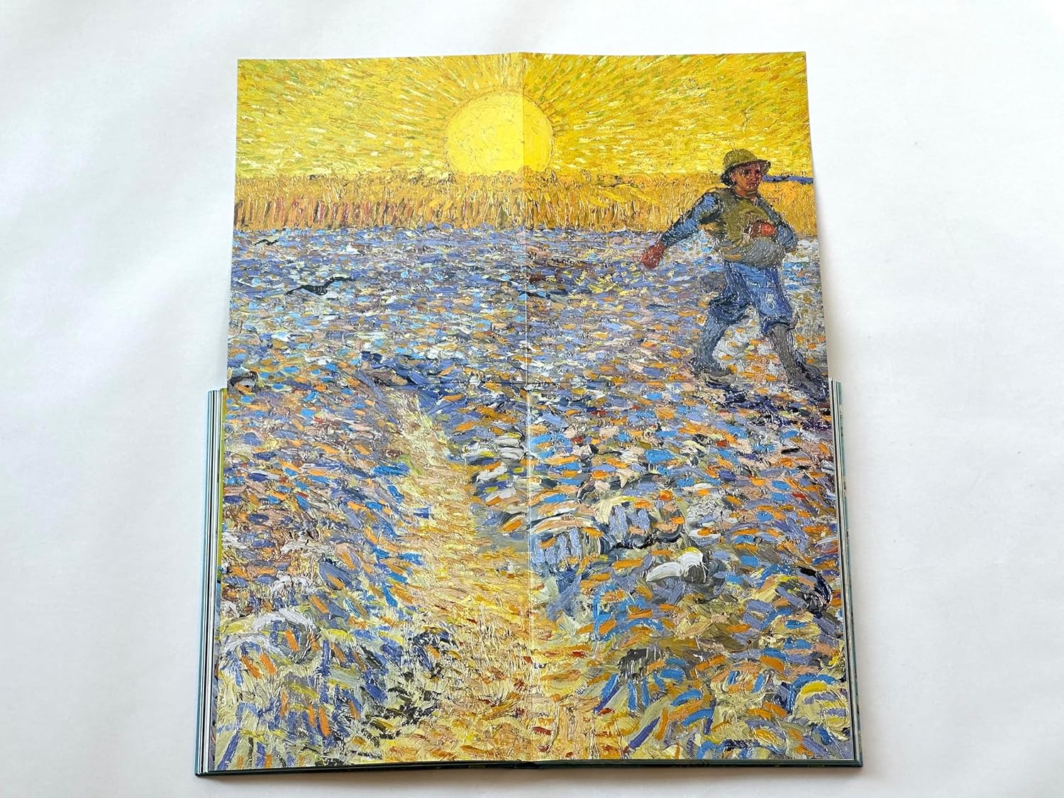 Van Gogh The Bigger Picture – QAGOMA Store