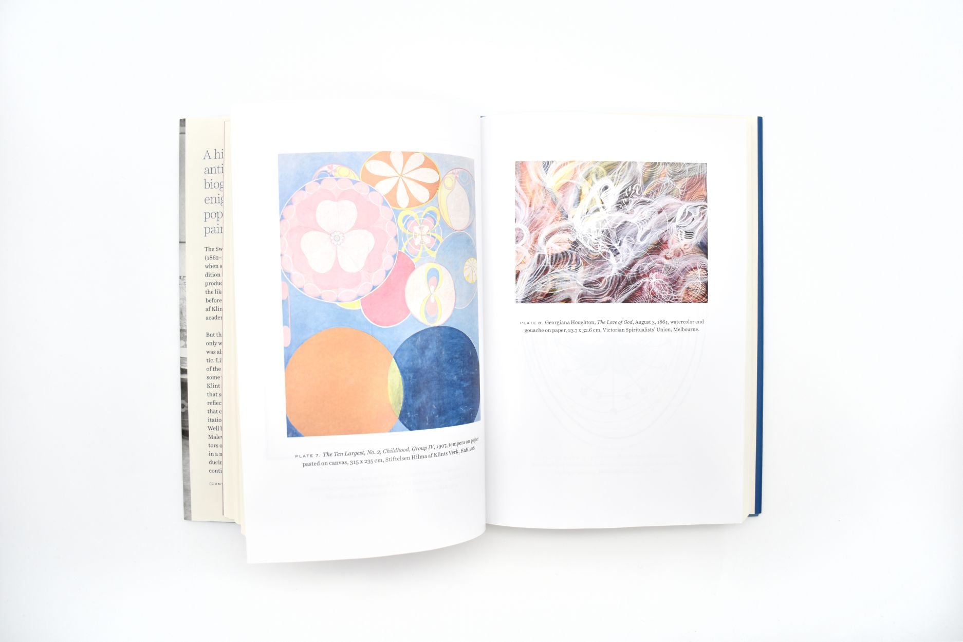 Hilma af Klint: A Biography – QAGOMA Store