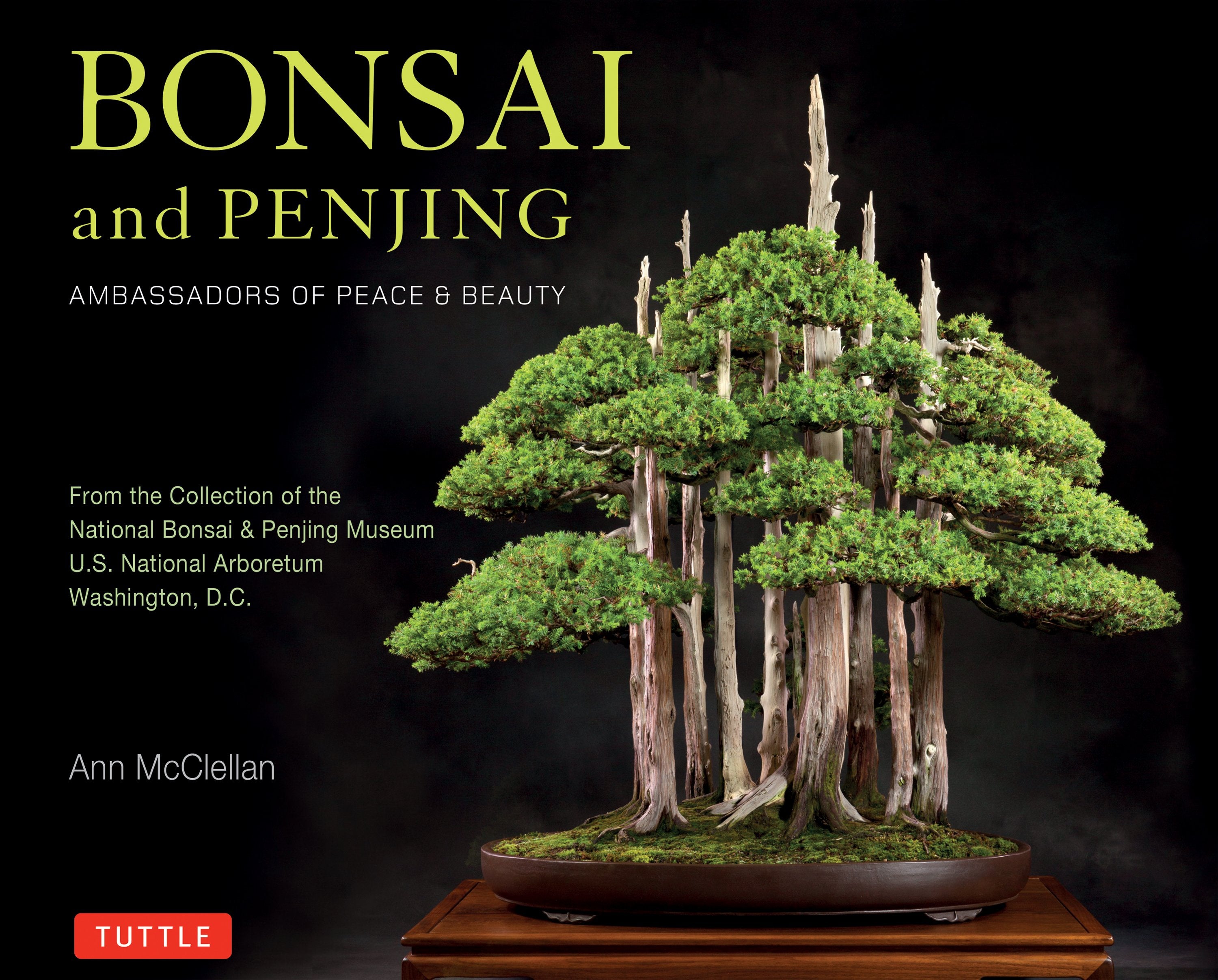 Bonsai And Penjing: Ambassadors of Peace & Beauty – QAGOMA Store