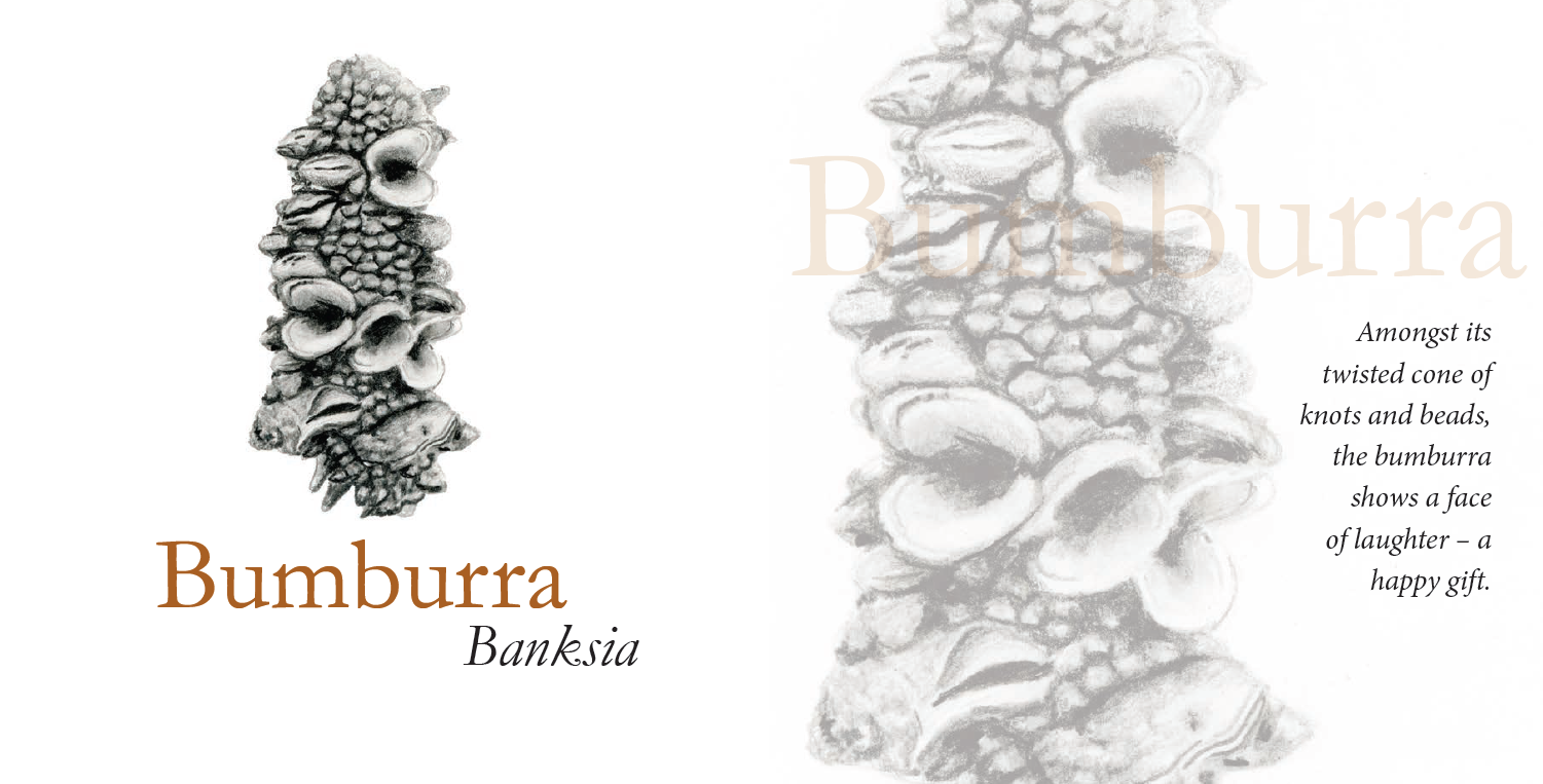 Yugambeh Jagun: A walk through Yugambeh Country – QAGOMA Store