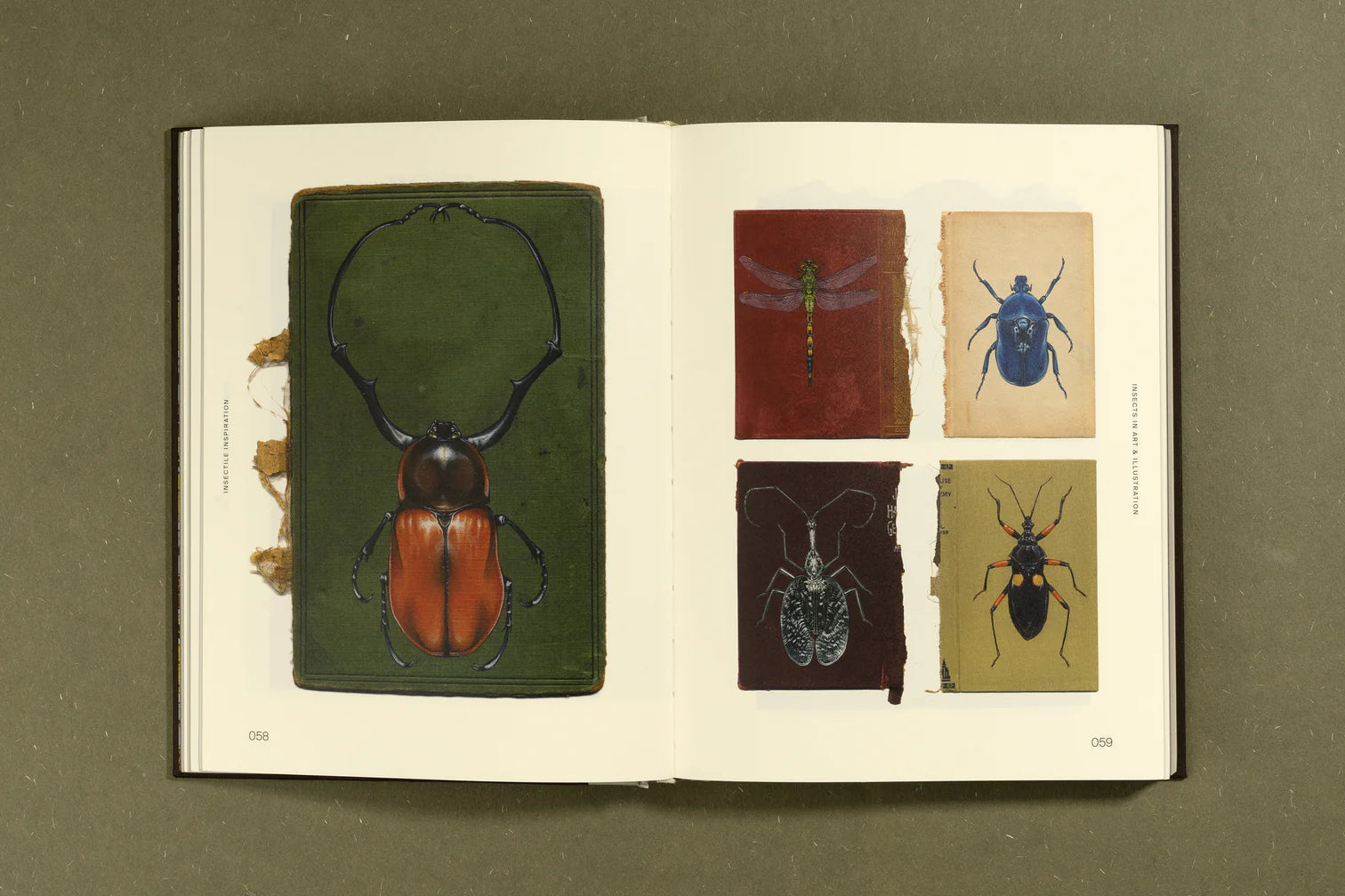 Insectile Inspiration: Insects in Art and Illustration – QAGOMA Store