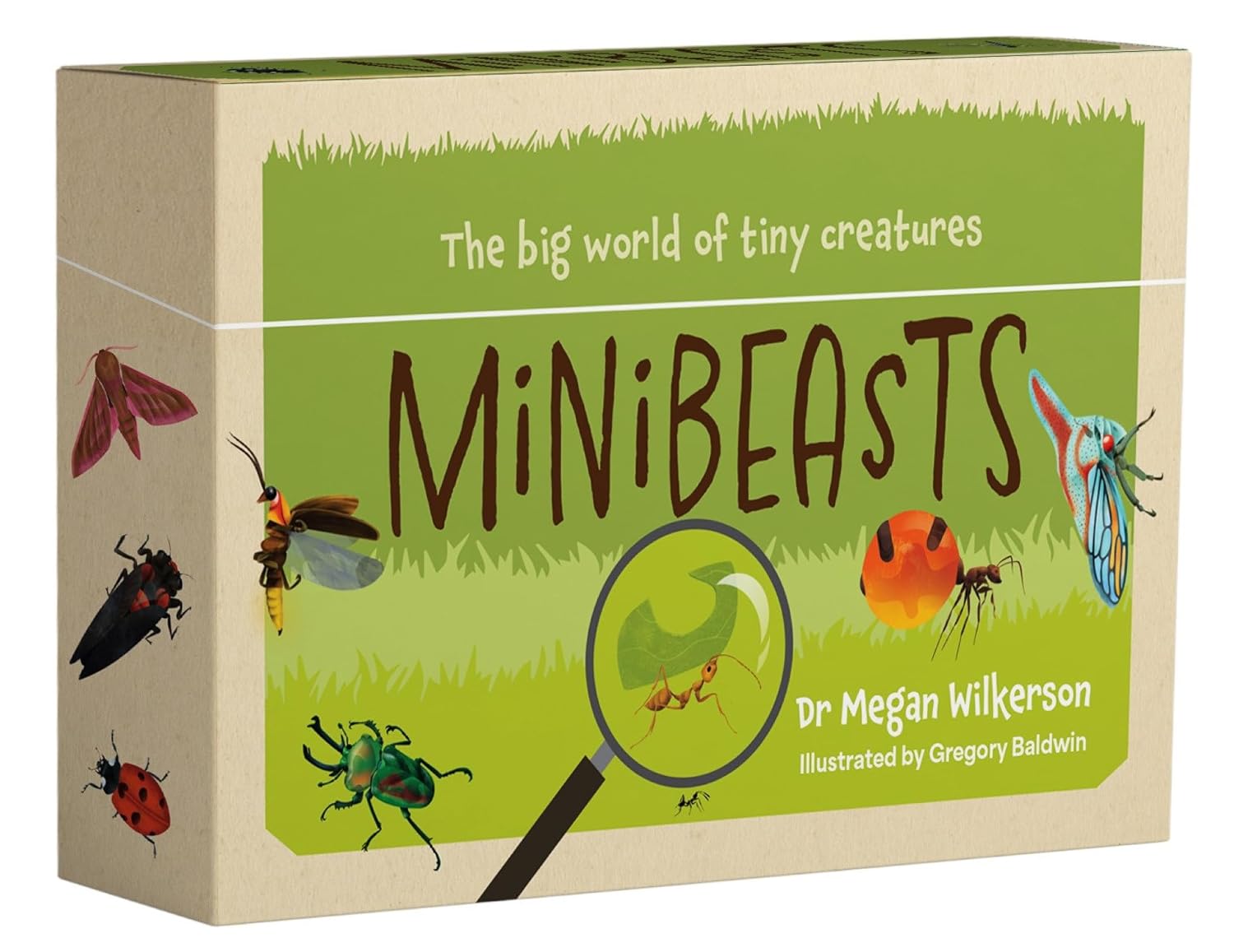Minibeasts: The Big World of Tiny Creatures – QAGOMA Store