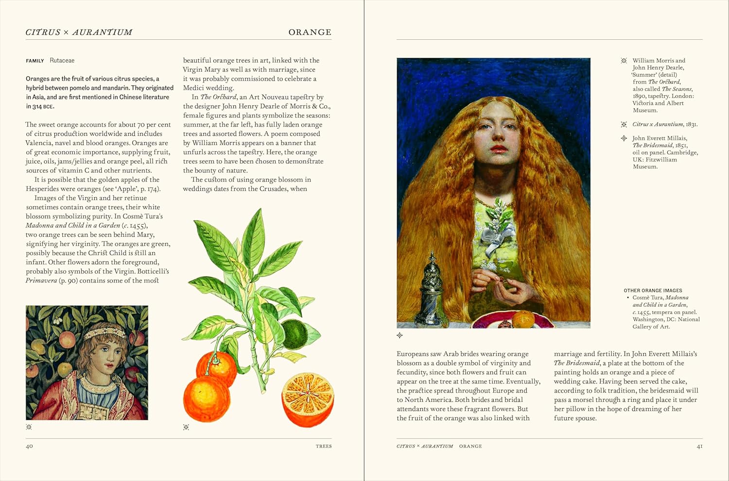 Secret Language of Plants – QAGOMA Store