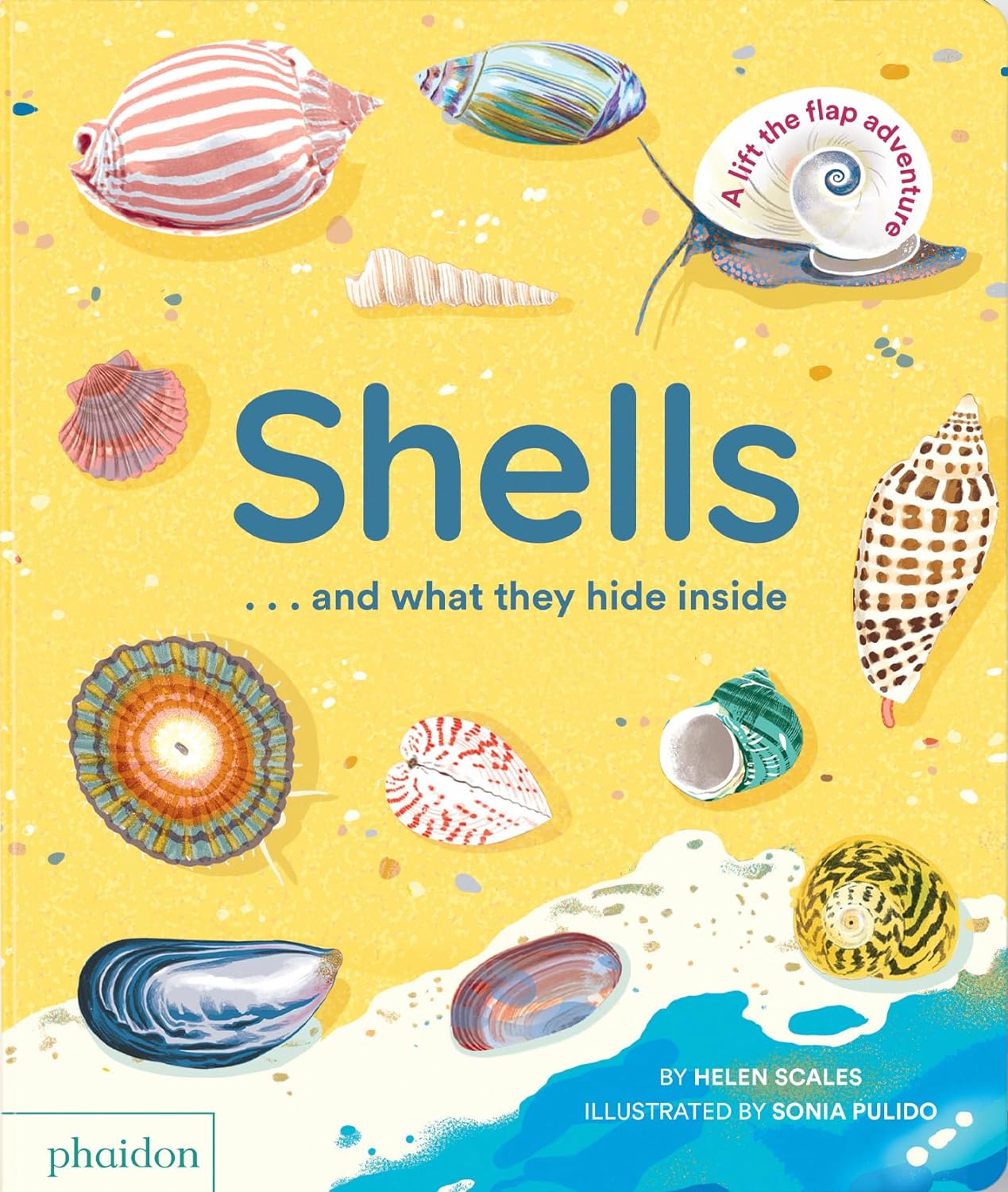 Shells and What They Hide Inside – QAGOMA Store