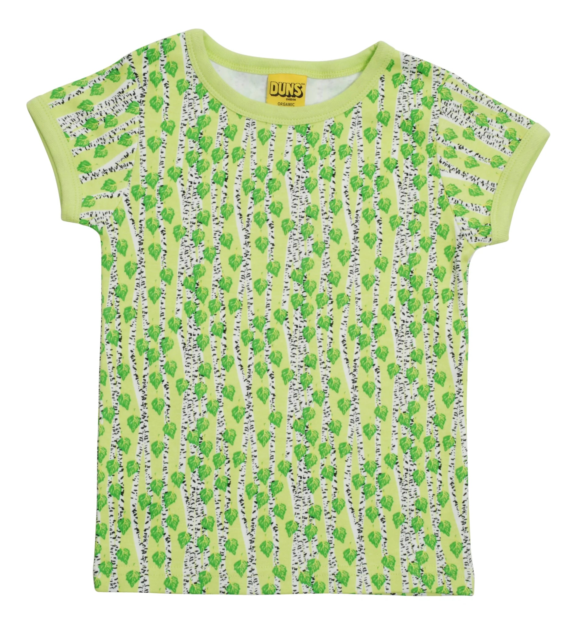 Birch Green T-Shirt – QAGOMA Store