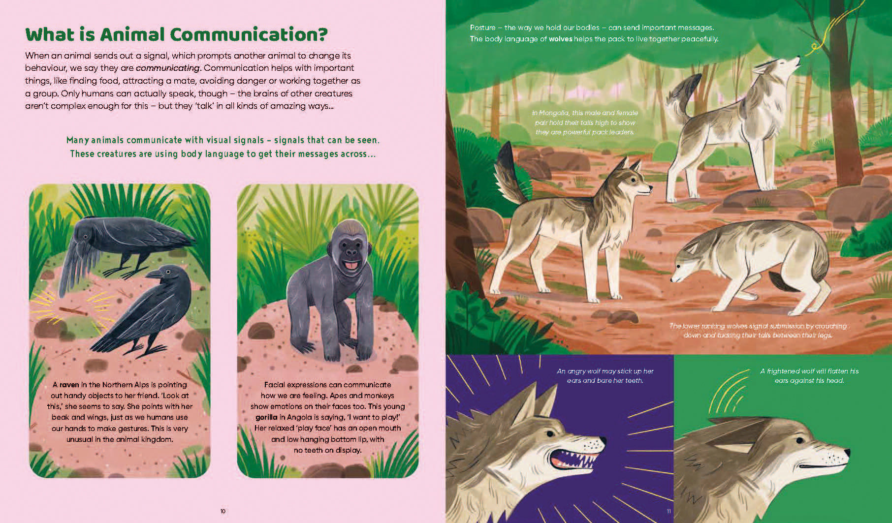 Curious Creatures Talking Together – QAGOMA Store