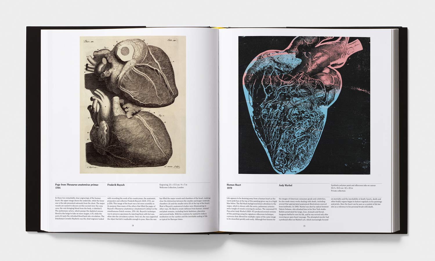Anatomy: Exploring the Human Body – QAGOMA Store